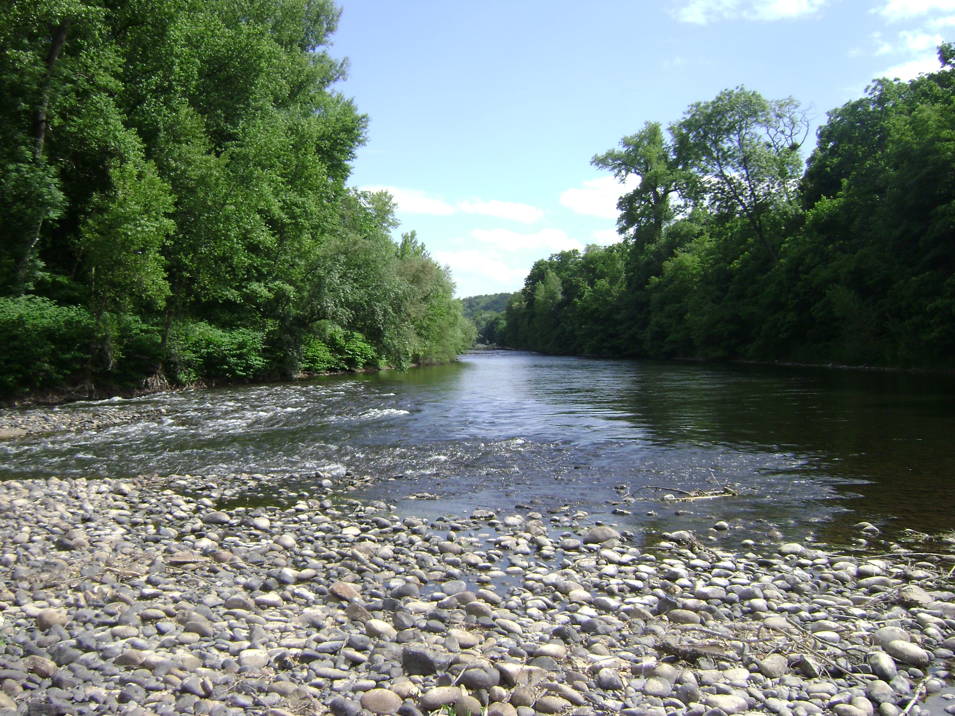 L'Allier, rivière sauvage - CPIE Clermont-Dômes