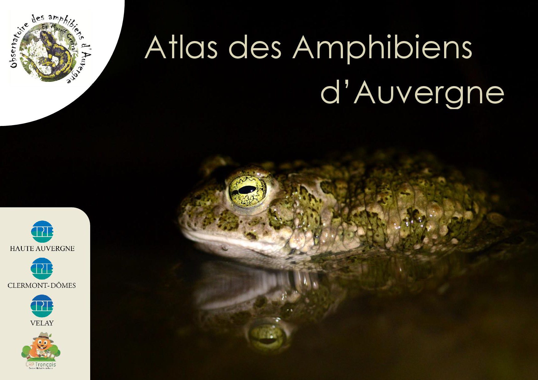 Observatoire des amphibiens - CPIE Clermont-Dômes